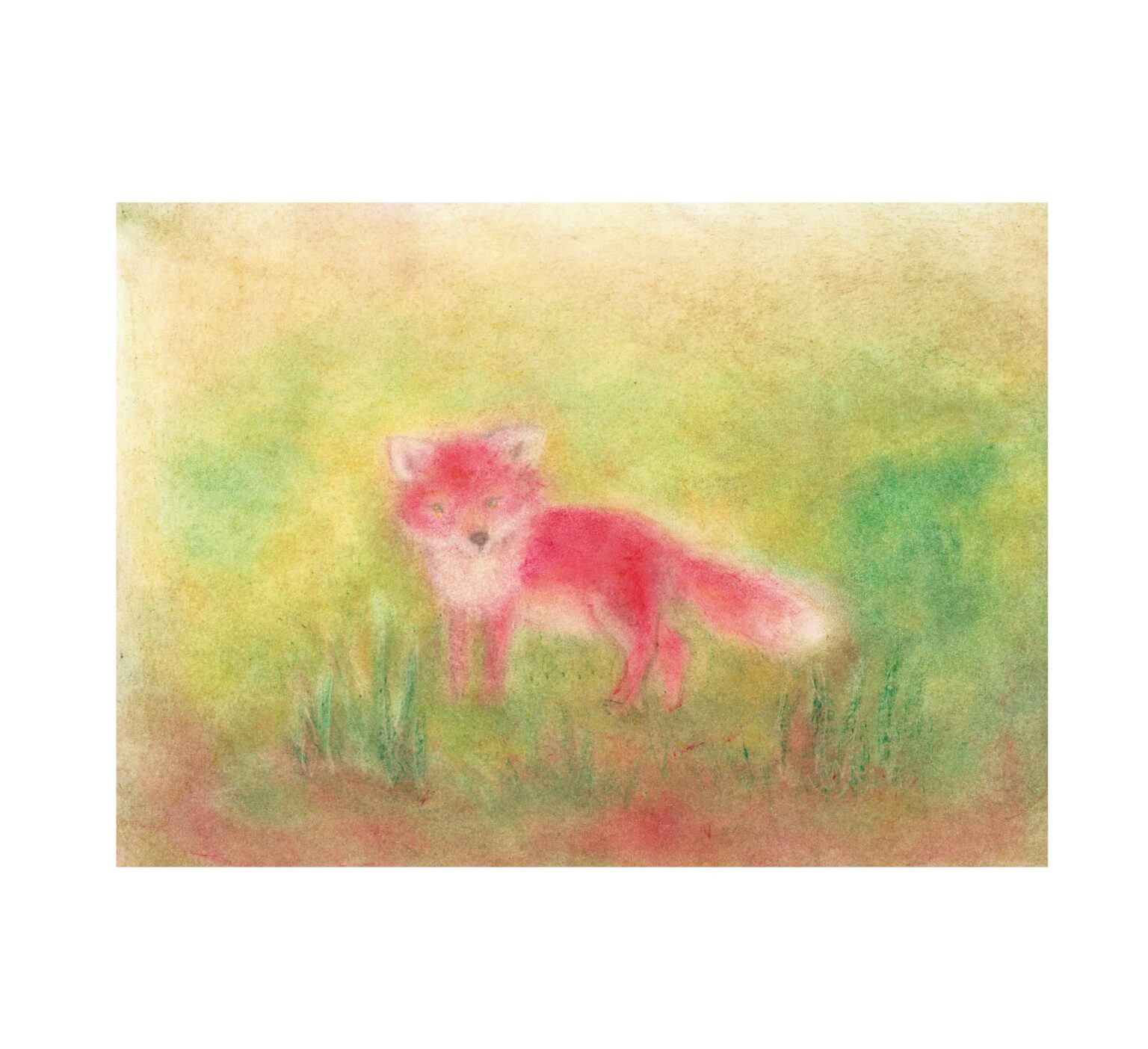 Seccorell Postcard Fox - Aurifer
