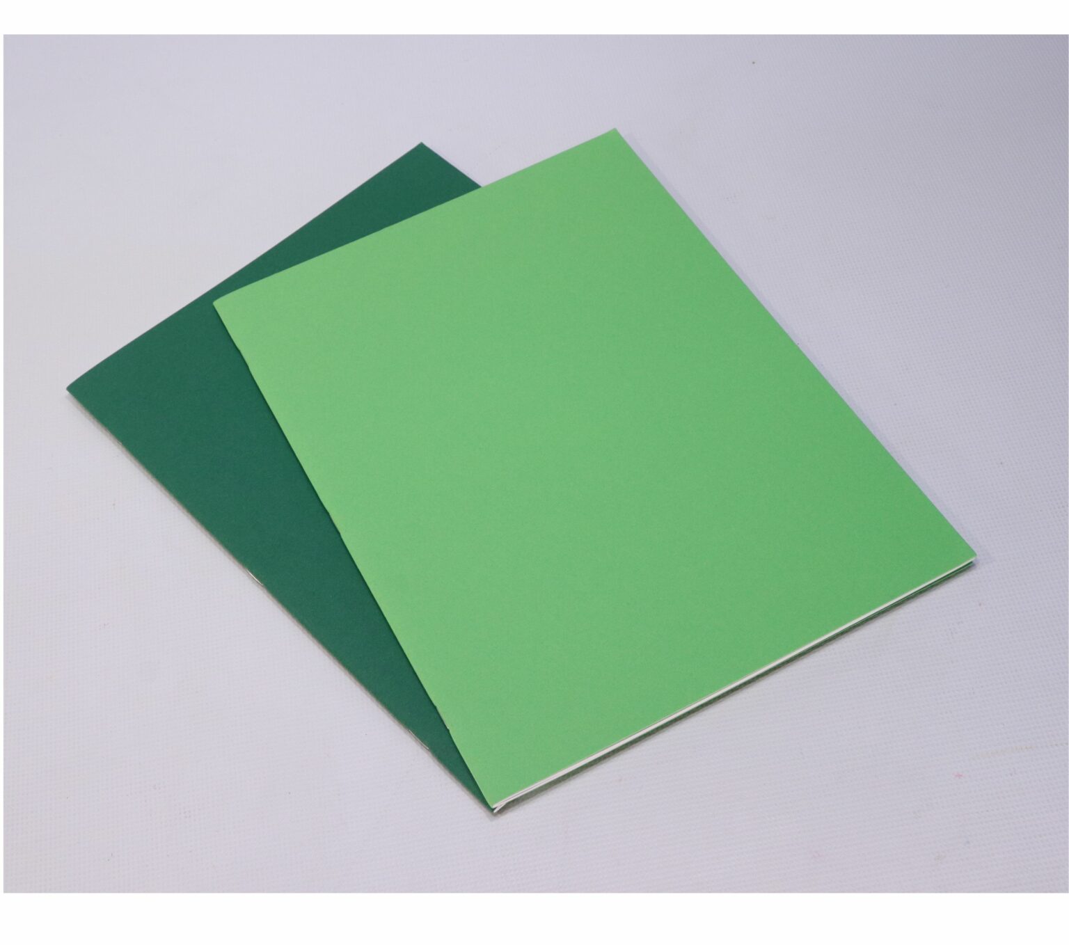 Main Lesson Books Archives - Aurifer