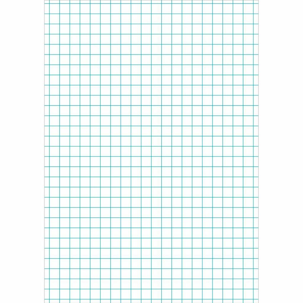 Sedulus Exercise Graph book A4 Portrait, 10mm x 10 mm squares (10 Pack ...